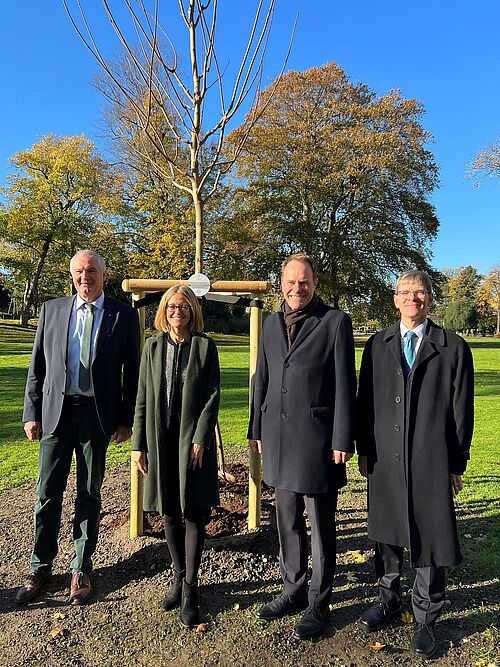 Bund deutscher Baumschulen e.V.: Ein Spitz-Ahorn im Hofgarten zu Ehren ...