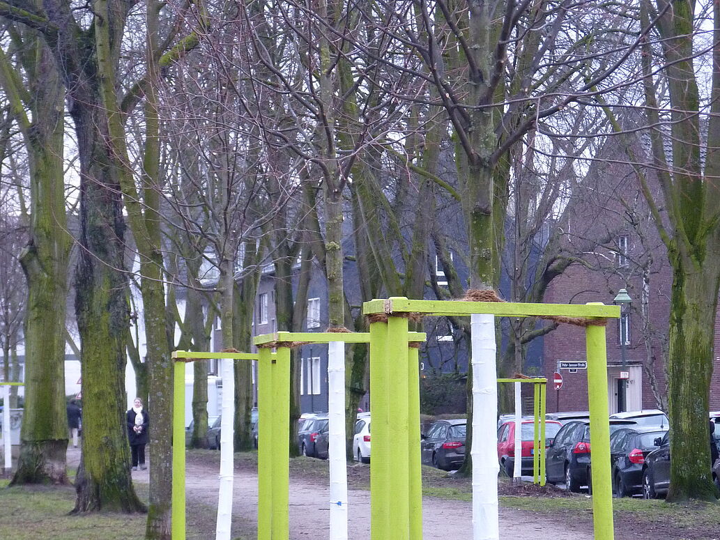 Straßenbäume tun gut und haben's schwer | Bund deutscher Baumschulen e.V.