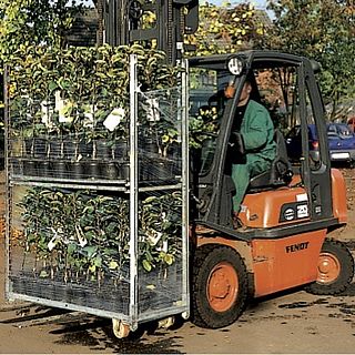 Containerpflanzen | Bund deutscher Baumschulen e.V.